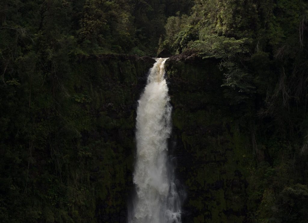 Top 12 Highest Waterfalls in India You Must Visit - WildlifeZones