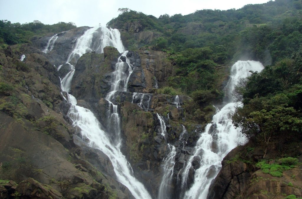 Top 12 Highest Waterfalls in India You Must Visit - WildlifeZones