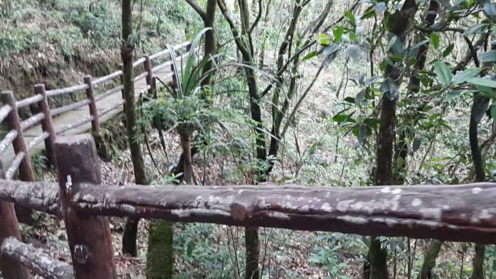 Caving in Meghalaya - Experience of A Lifetime | WildlifeZones