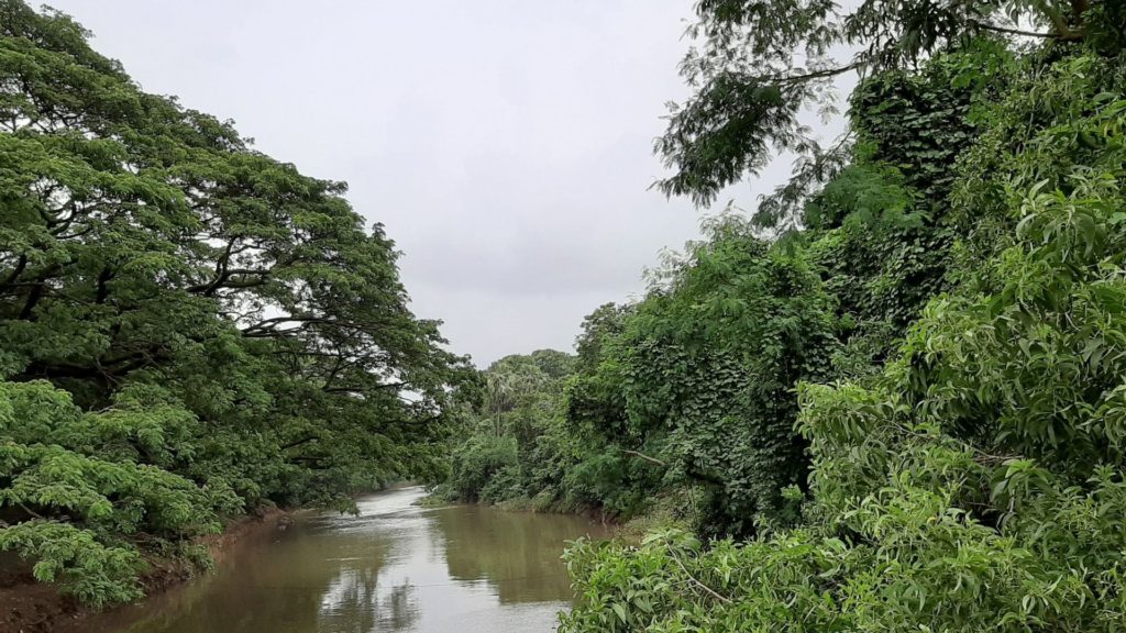 Top 10 Attractions of Sanjay Gandhi National Park | WildlifeZones