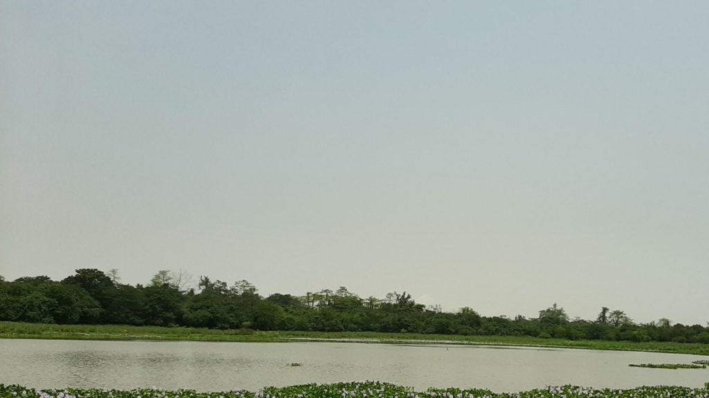 20 Major Lakes in India That Will Amaze You | WildlifeZones