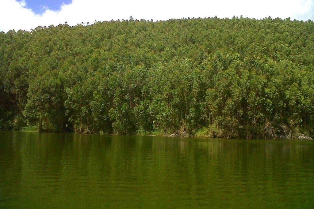 12 Best Tourist Places in Munnar - 2 Day Itinerary | WildlifeZones