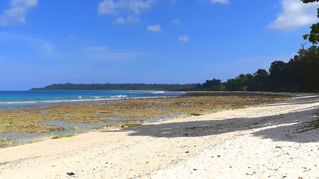 Neil Island - 6 Best Things To See and Do | WildlifeZones