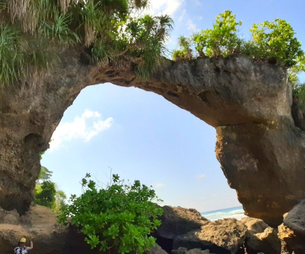 Neil Island - 6 Best Things To See and Do | WildlifeZones