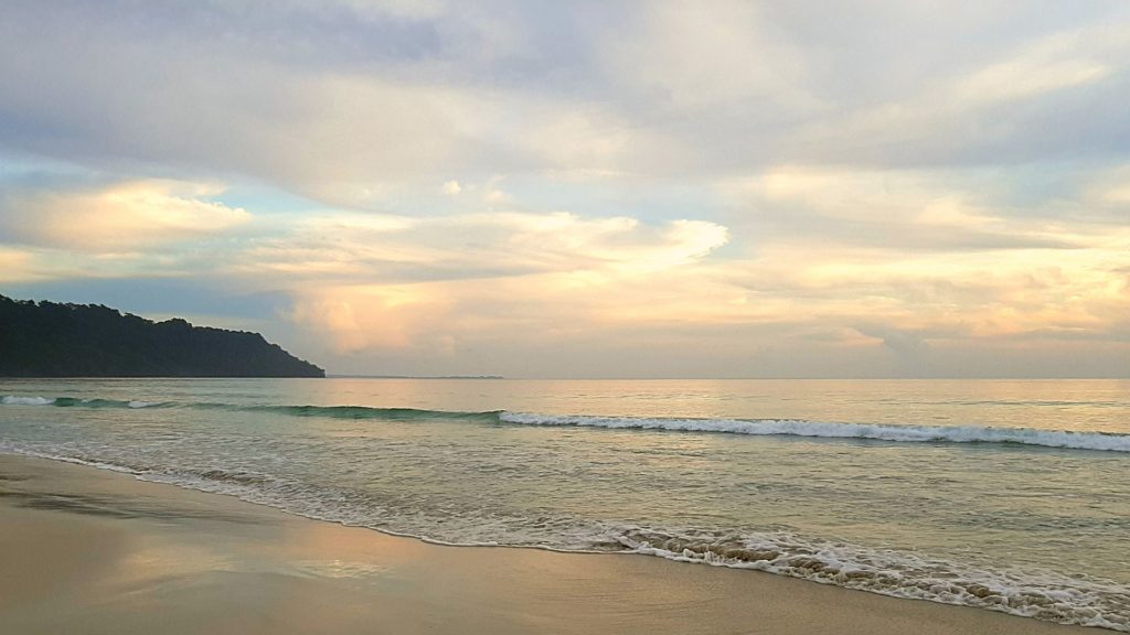 Neil Island - 6 Best Things To See and Do | WildlifeZones