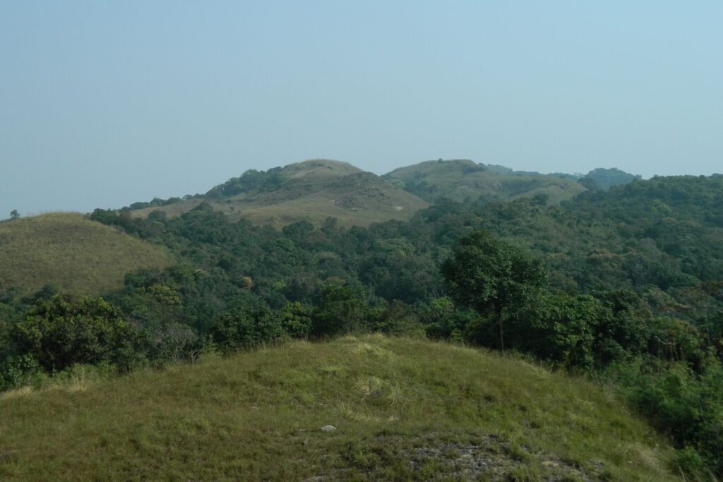 15 Best Wildlife Destinations for Sighting Elephants in India