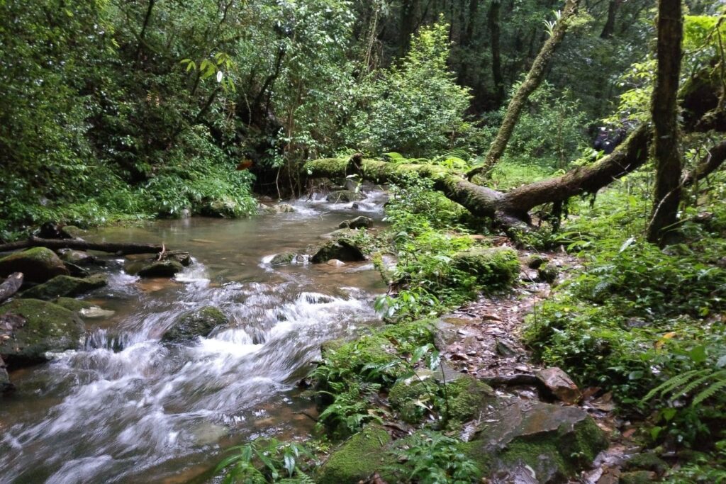 12 Best Tourist Places in Shillong To Visit | WildlifeZones