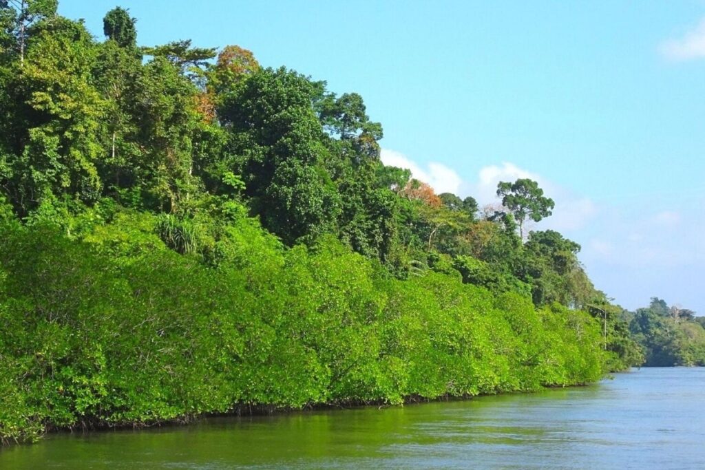 15 Incredible Things To Do in Andaman | WildlifeZones