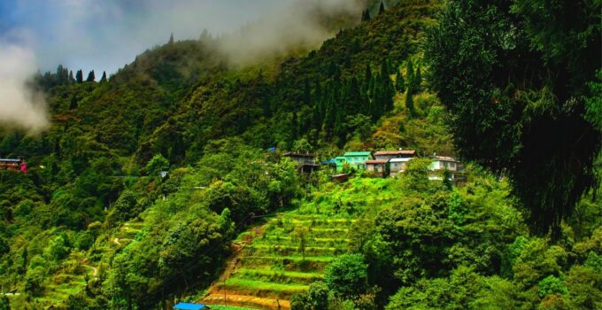 Your Guide to Nature and Wildlife Travel