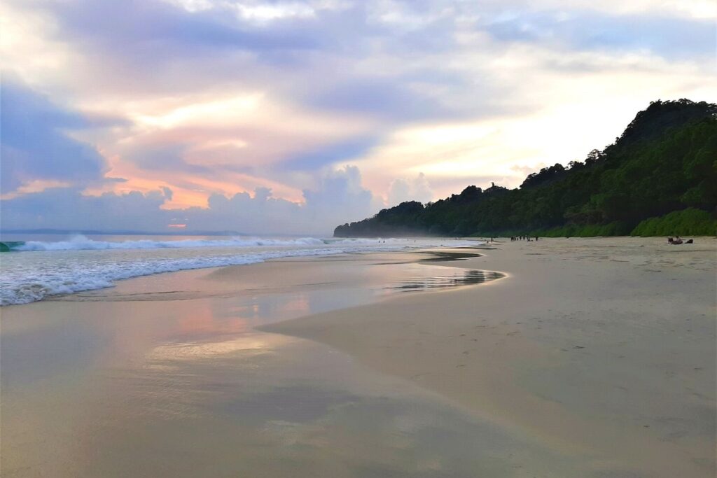 Elephant Beach, Havelock Island: Quick Travel Guide | WildlifeZones
