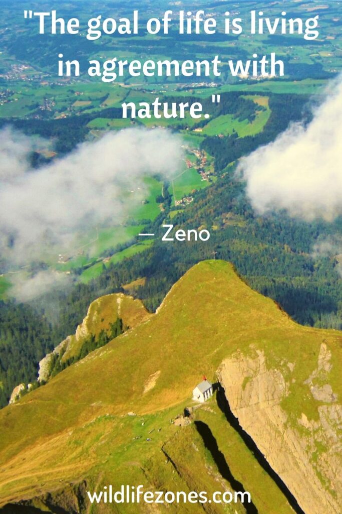 Beautiful Nature Quotes Beautiful Nature Quotes