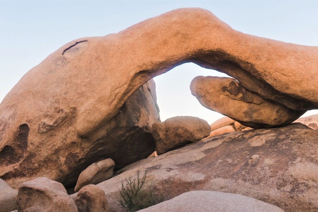 10 Unmissable Attractions in Joshua Tree National Park | WildlifeZones