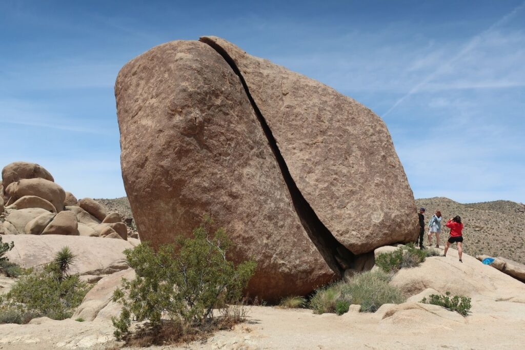 10 Unmissable Attractions in Joshua Tree National Park | WildlifeZones