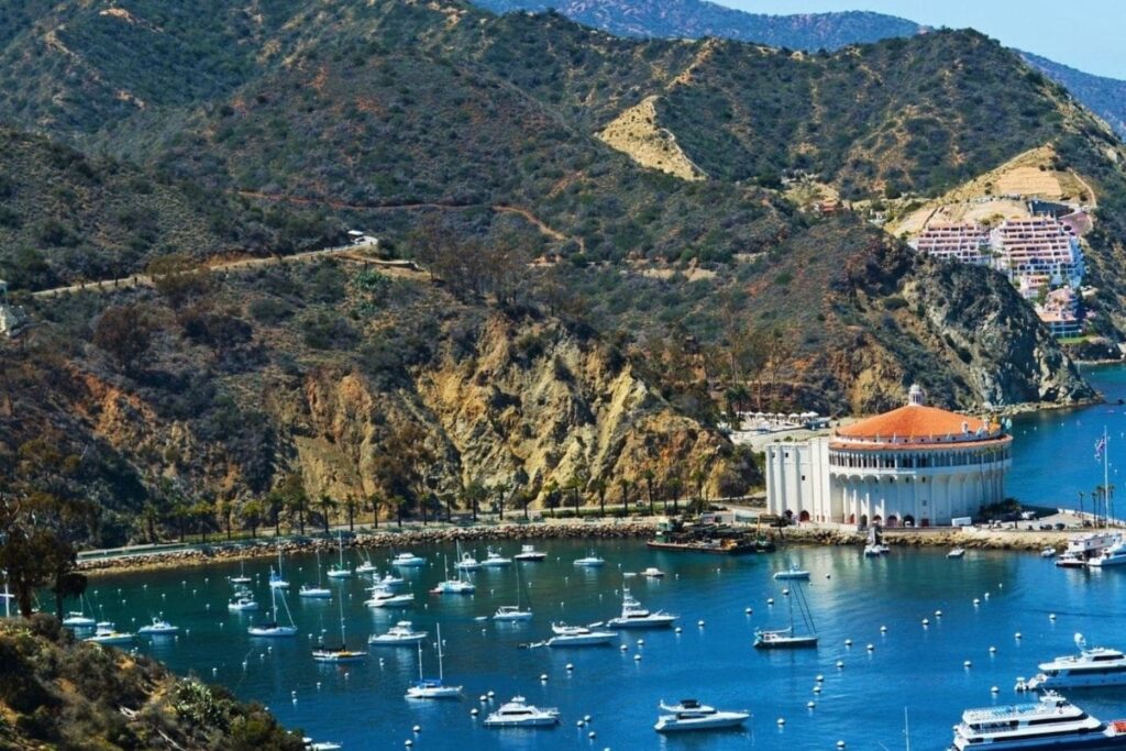 12 Must-Visit Places in California | WildlifeZones