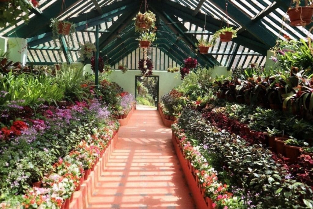 6 Best Places To Visit In Ooty In 1 Day | WildlifeZones
