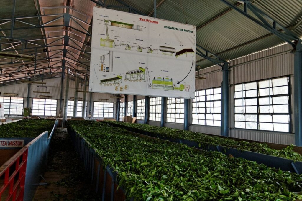 6 Best Places To Visit In Ooty In 1 Day | WildlifeZones