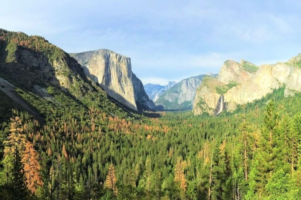 10 Attractions in Yosemite National Park You Must See | WildlifeZones