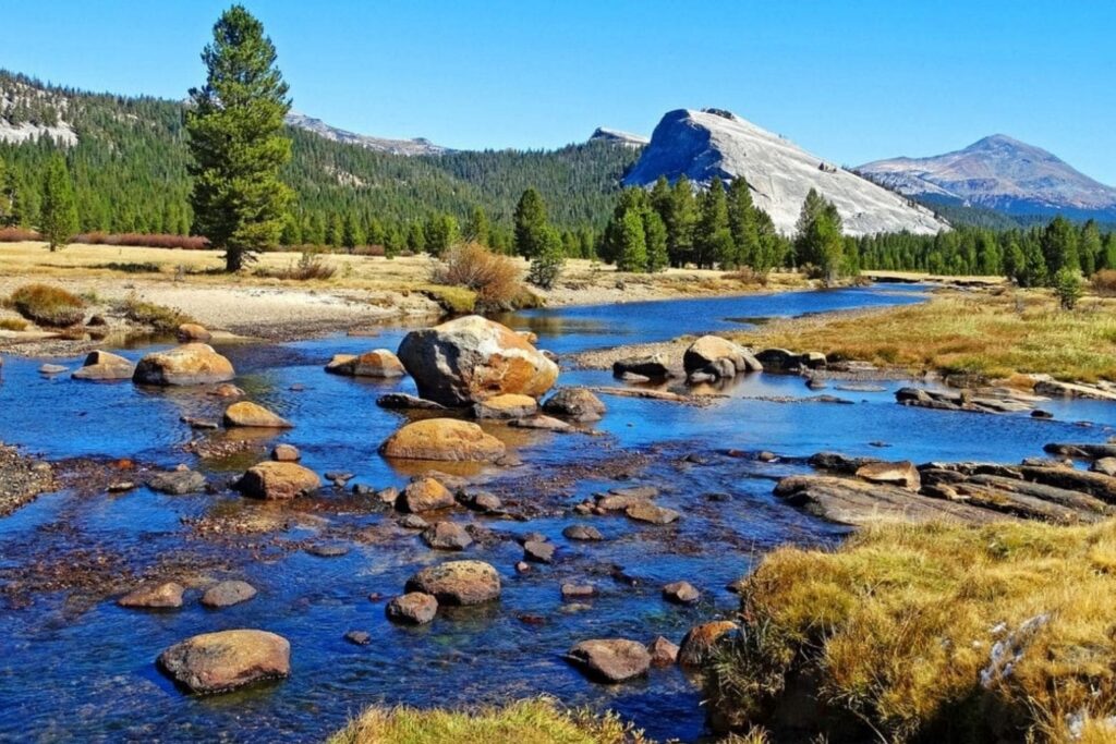 10 Attractions in Yosemite National Park You Must See | WildlifeZones