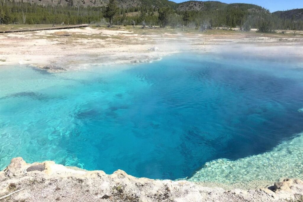 12 of The Best Attractions in Yellowstone National Park | WildlifeZones