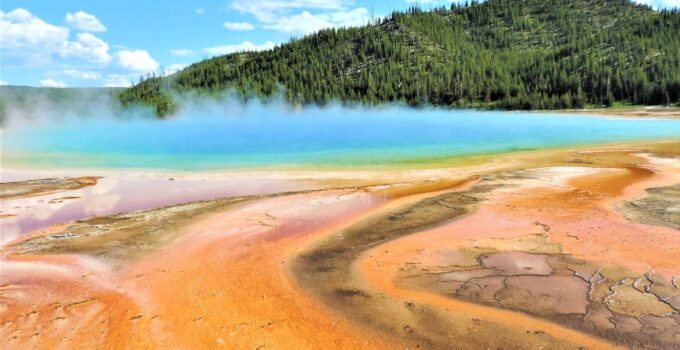 Your Guide to Nature and Wildlife Travel