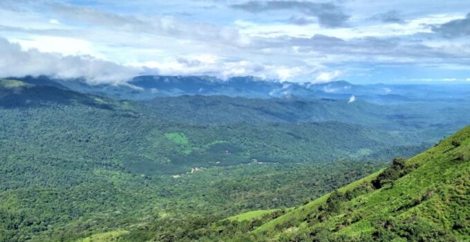 Your Guide to Nature and Wildlife Travel