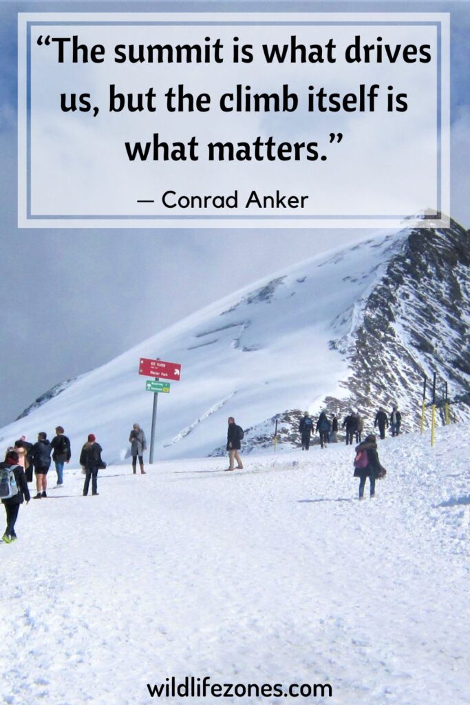 137 Short Mountain Quotes To Inspire Your Adventures