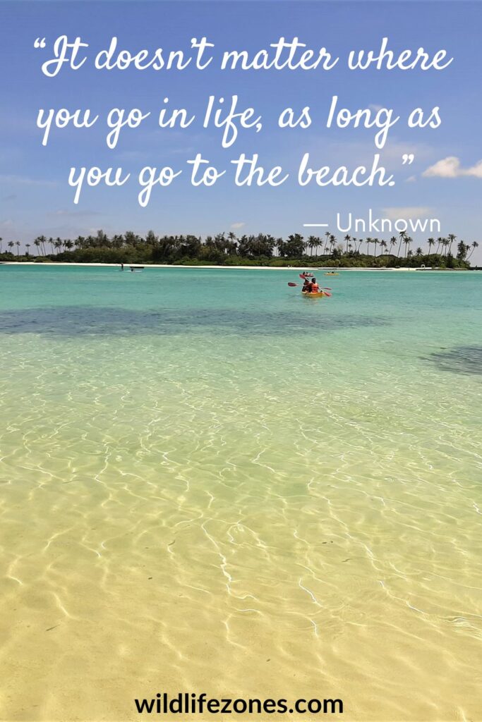 135 Short Beach Quotes For Those Who Love The Sea 135 Short Beach Quotes For Those Who Love The Sea