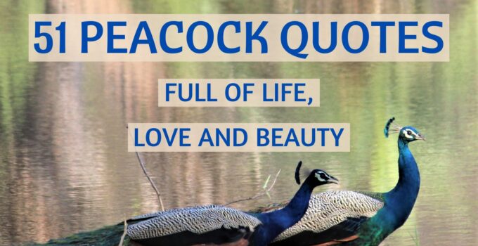 Your Guide to Nature and Wildlife Travel
