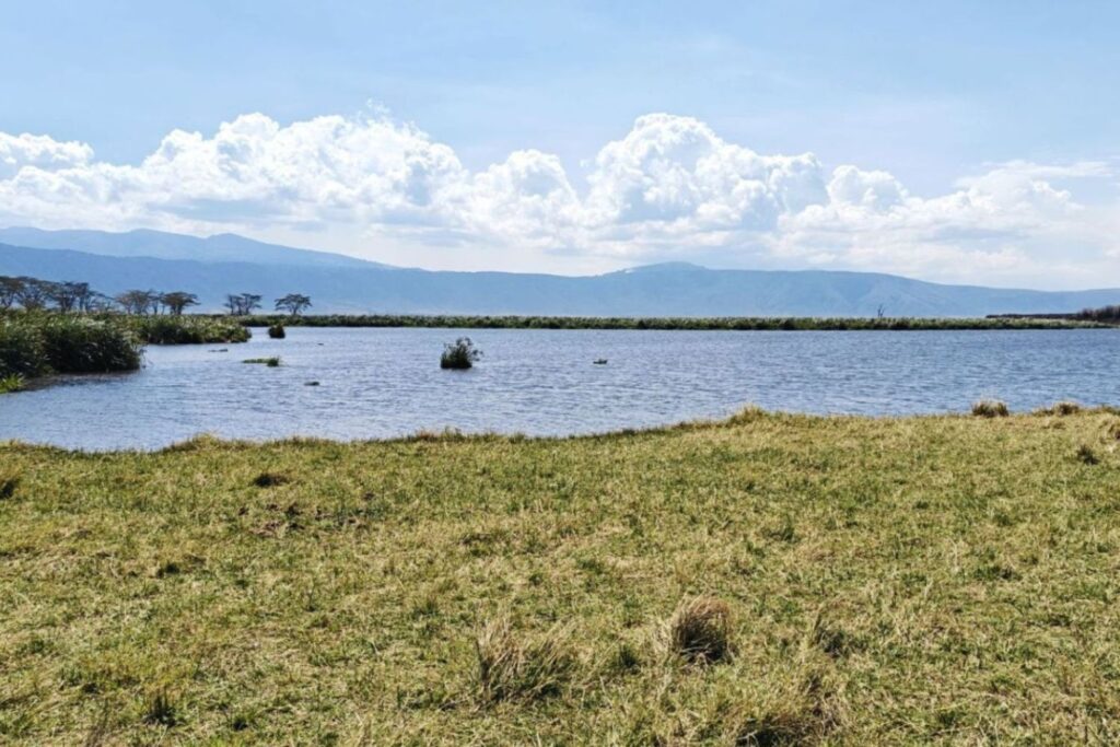 A Complete Guide To Visiting Ngorongoro Crater | WildlifeZones