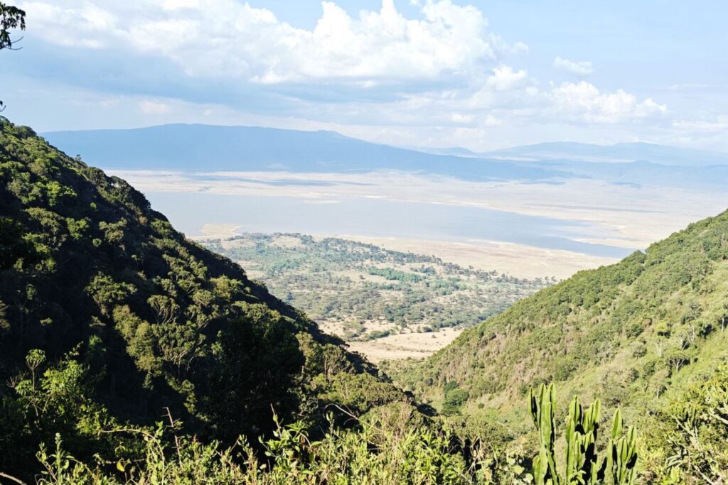 A Complete Guide To Visiting Ngorongoro Crater | WildlifeZones