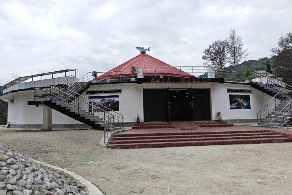 Ziro Valley - The Ultimate Guide And 2-Day Itinerary