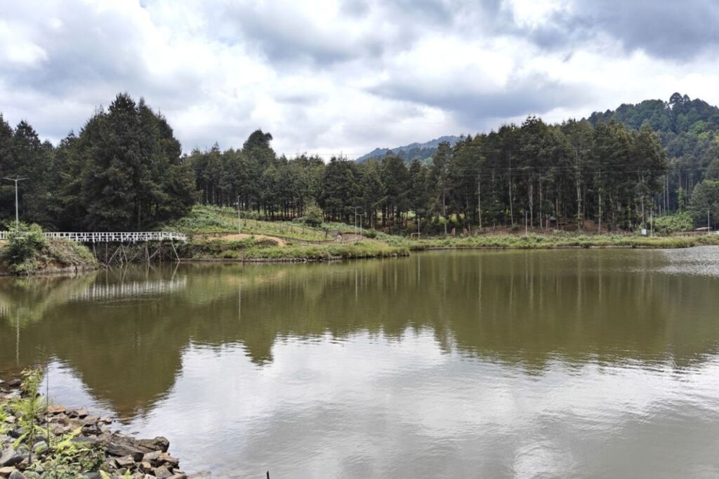 Ziro Valley - The Ultimate Guide And 2-Day Itinerary