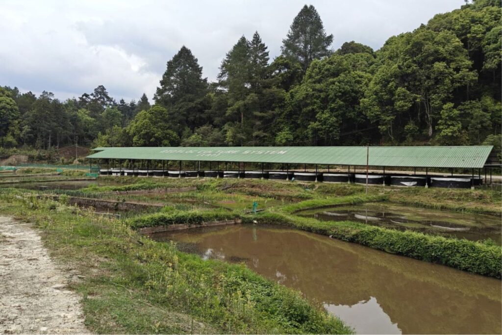 Ziro Valley - The Ultimate Guide And 2-Day Itinerary