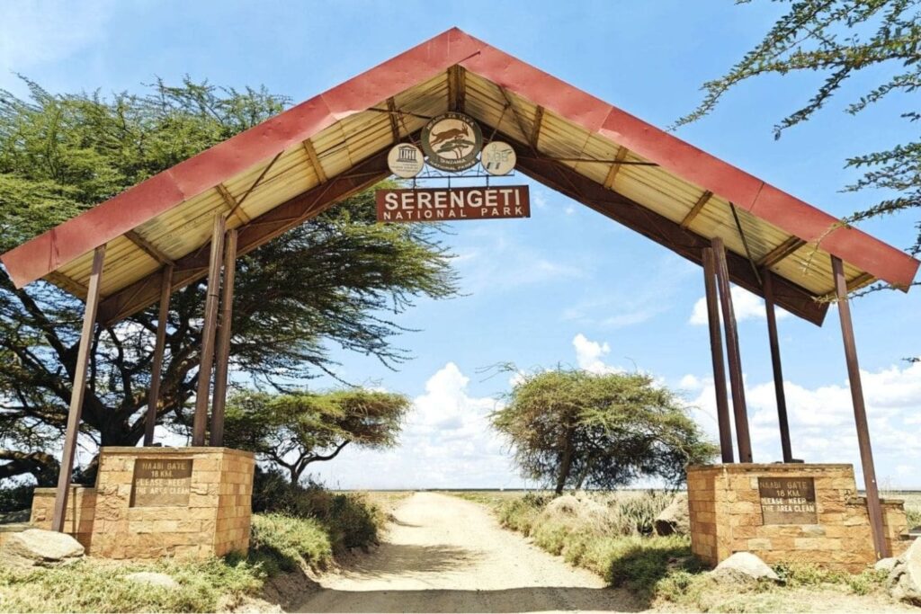 Serengeti National Park - A Complete Planning Guide