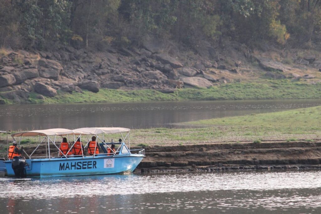 Satpura National Park: The Essential Travel Guide